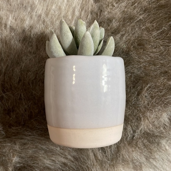 Threshold | Accents | Nwt Threshold Faux Succulent Tabletop Arrangement ...